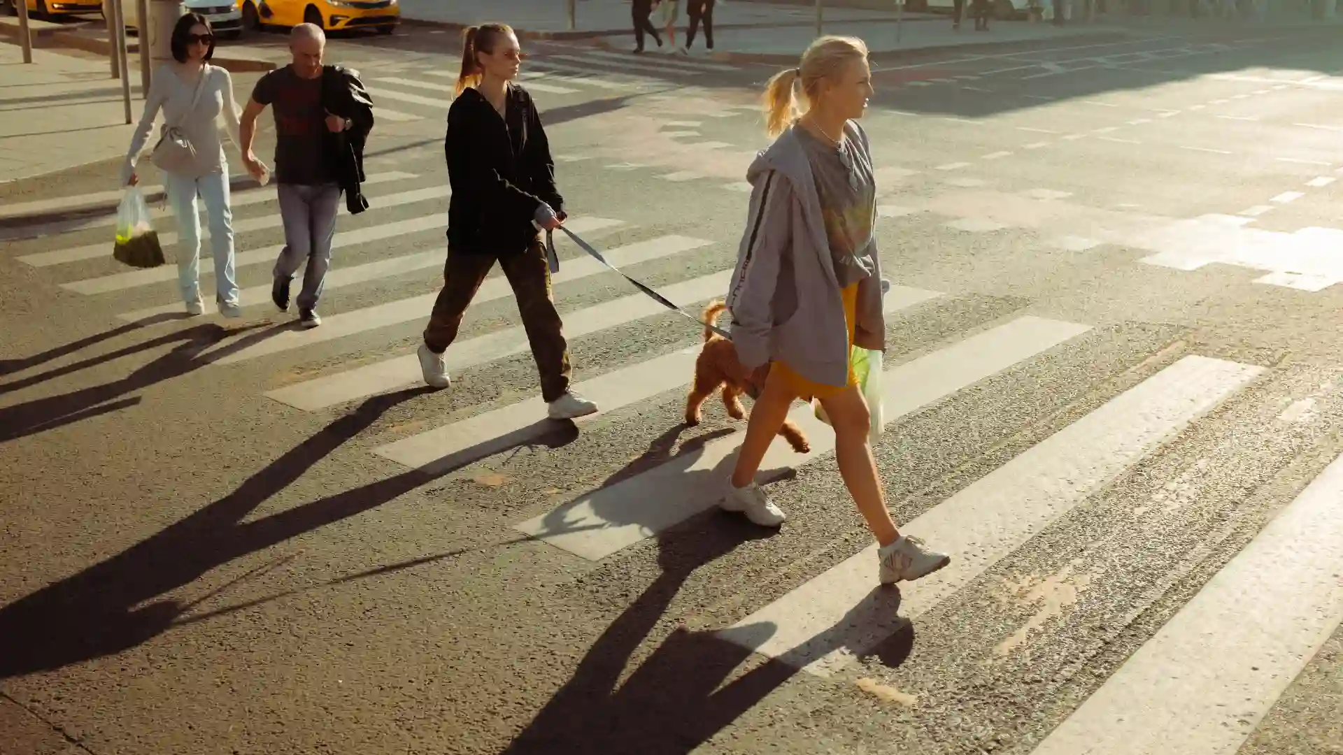 Chicago Crosswalk Laws: Pedestrian Rights & Safety (2025)